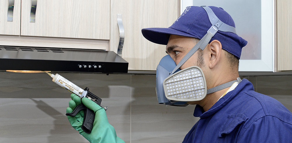 Control integral de plagas – Fumigaciones Cali, Colombia