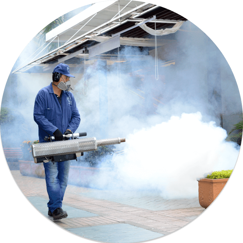 Actividades en sector industrial - Control integral de plagas